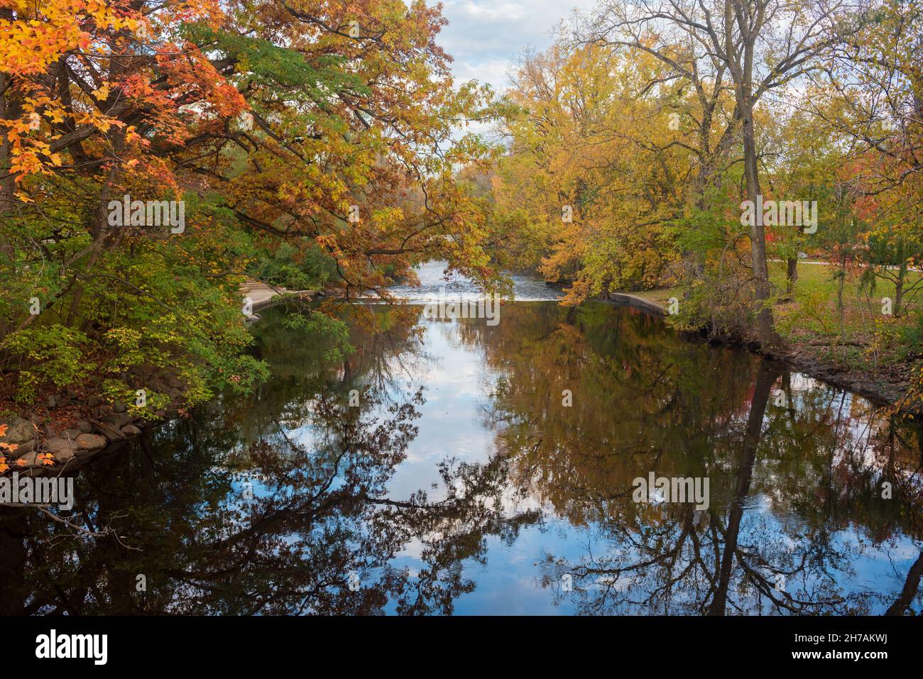 Michigan State University Campus Fall