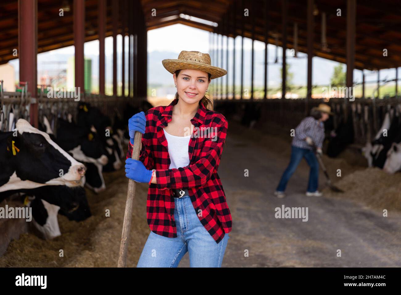 Successful young woman farmer standing in stall on cow farm Stock Photo ...