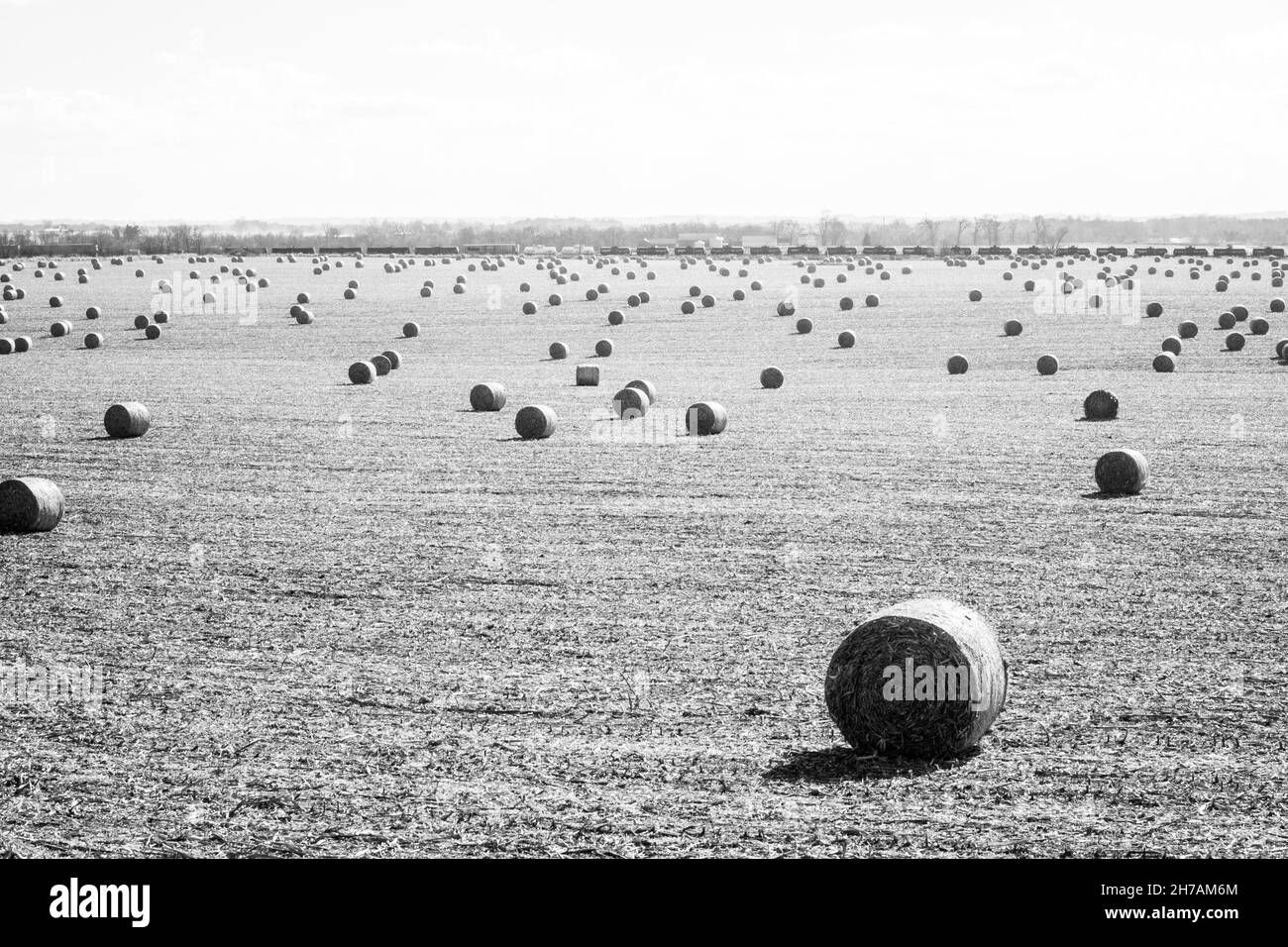 Field hay bales outside Black and White Stock Photos & Images - Alamy