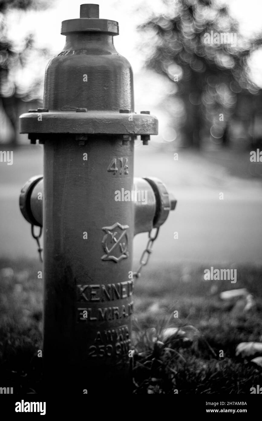 A vertical grayscale shot of a fire hydrant outside Stock Photo - Alamy