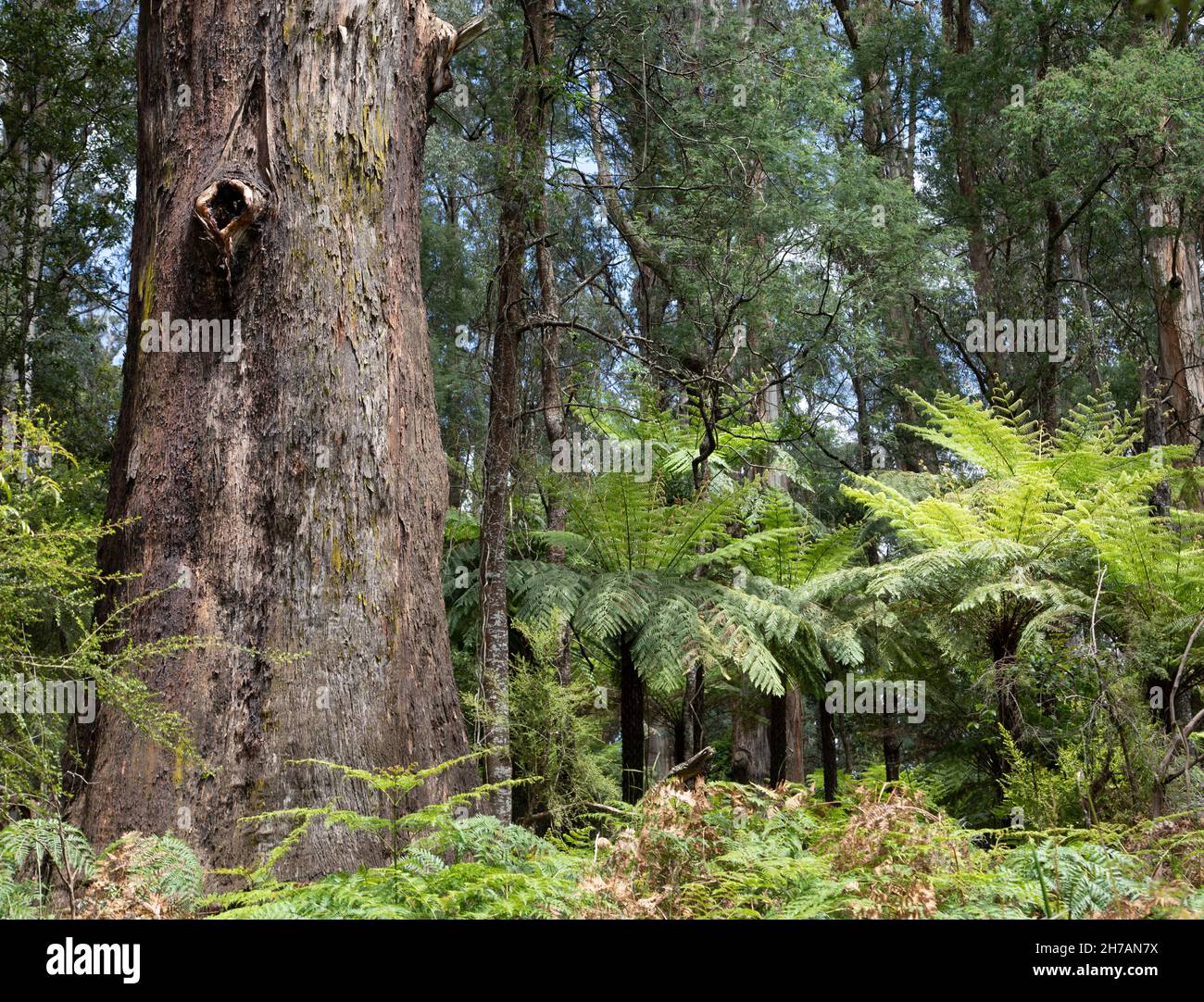Return Of The Jedi High Resolution Stock Photography and Images - Alamy