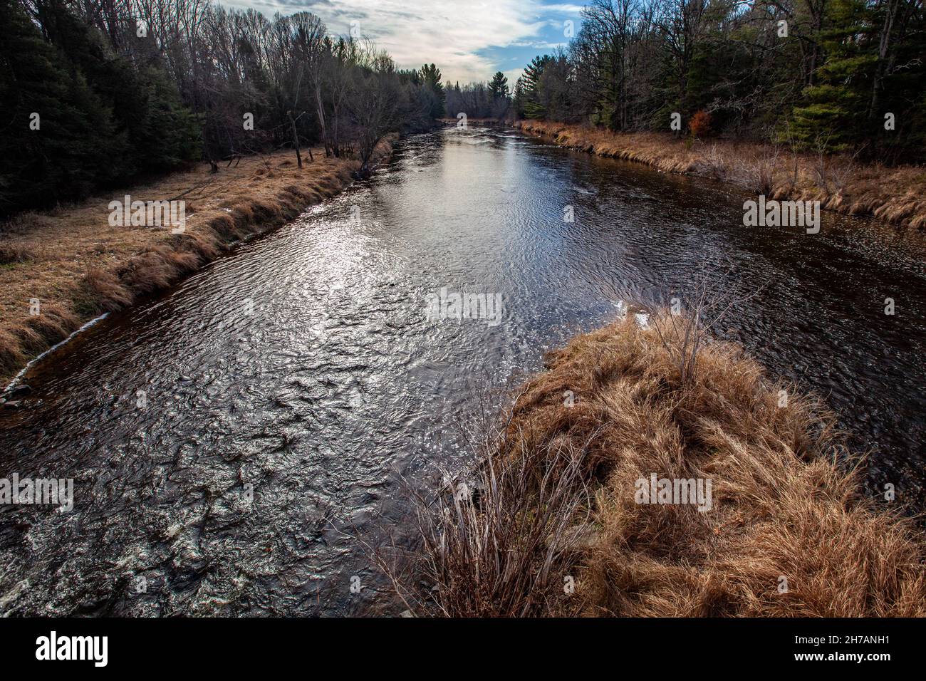 Calm trees hi-res stock photography and images - Alamy