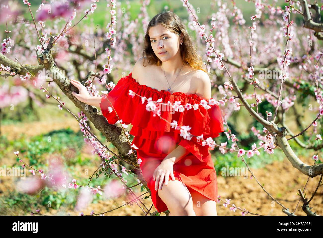 White lady peach hi-res stock photography and images - Alamy