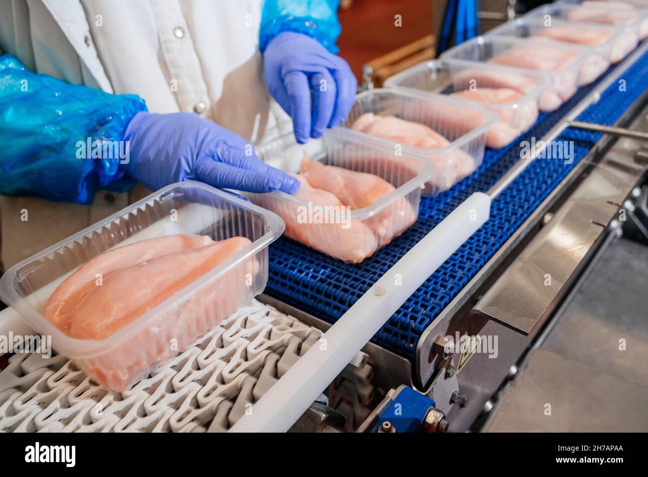 Meat processing,food industry.Packing of meat slices in boxes ,conveyor ...