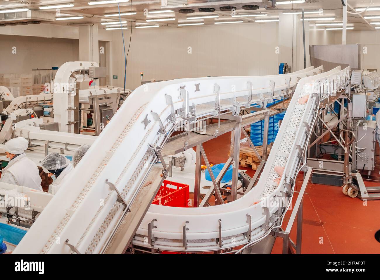 Chicken fillet production line . Factory for the production of food ...