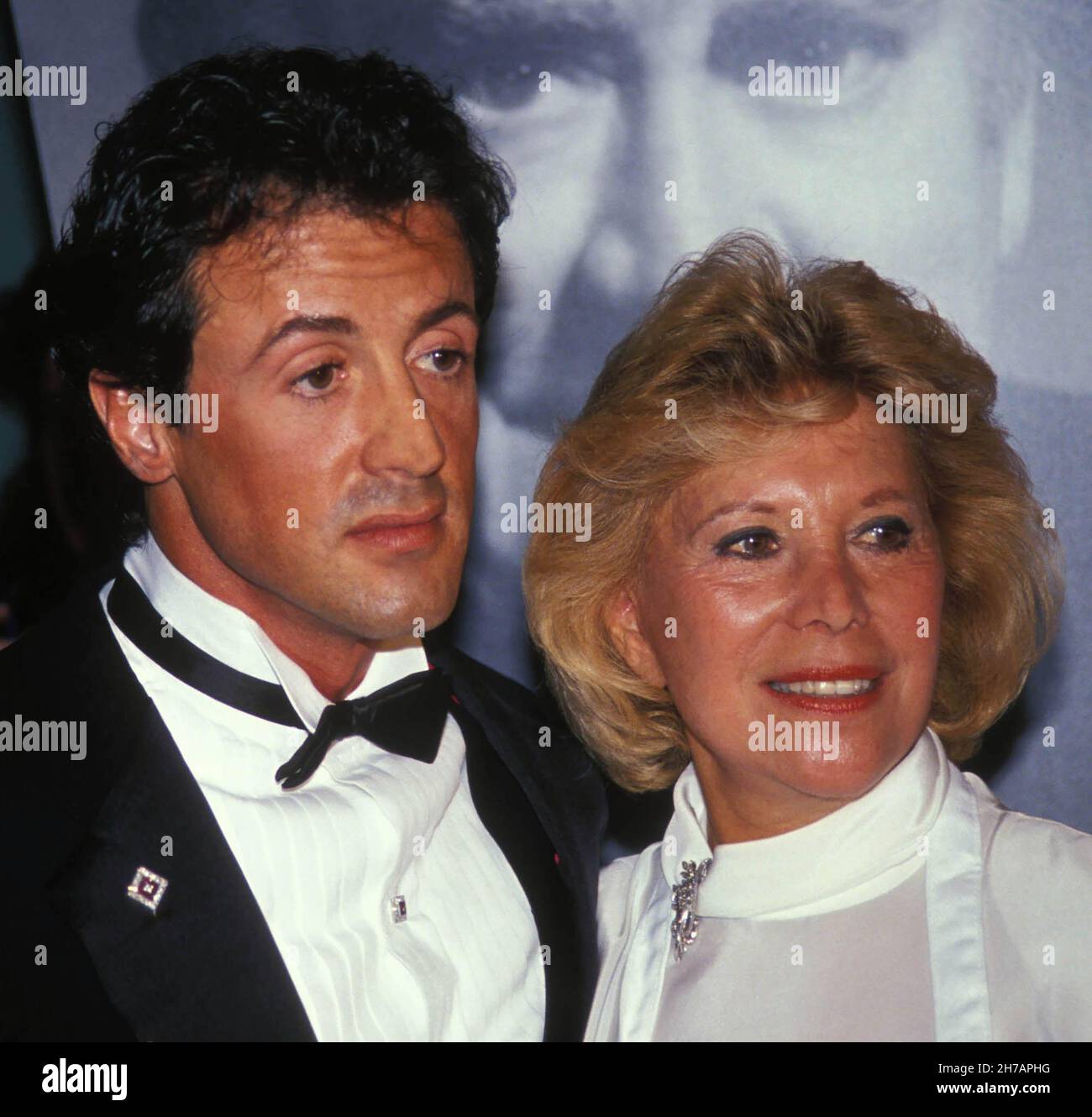 Hollywood actor sylvester stallone hi-res stock photography and images ...