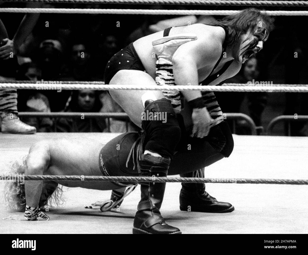 Demolition Smash. Shawn Michaels 1987 by John Barrett/PHOTOlink Stock ...