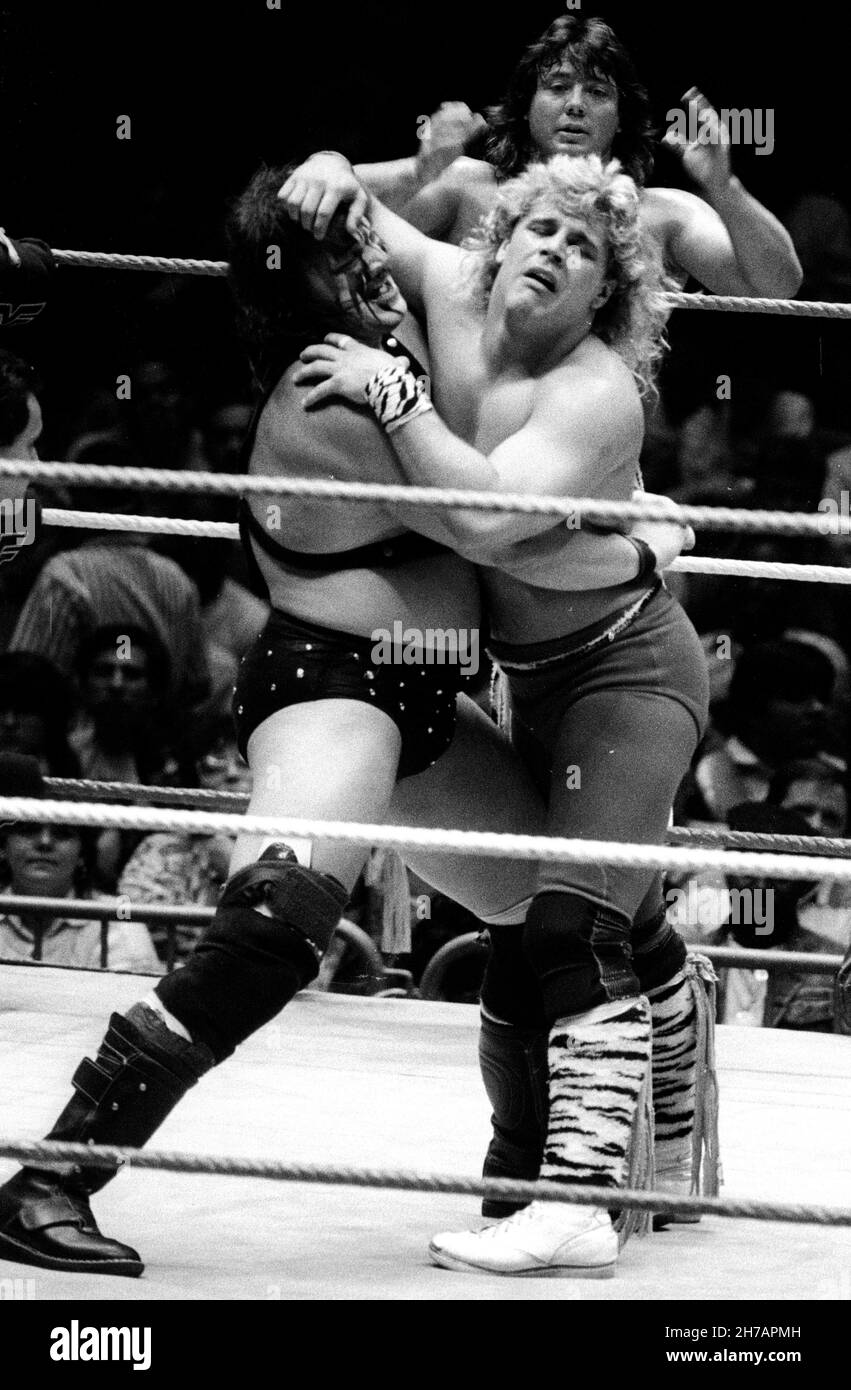 Demolition Smash. Shawn Michaels 1987 by John Barrett/PHOTOlink Stock ...