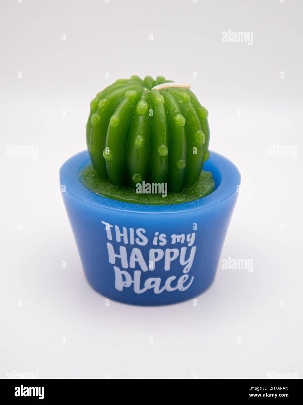 Plant - Small Plant - Plant Product Stock Photo - Alamy