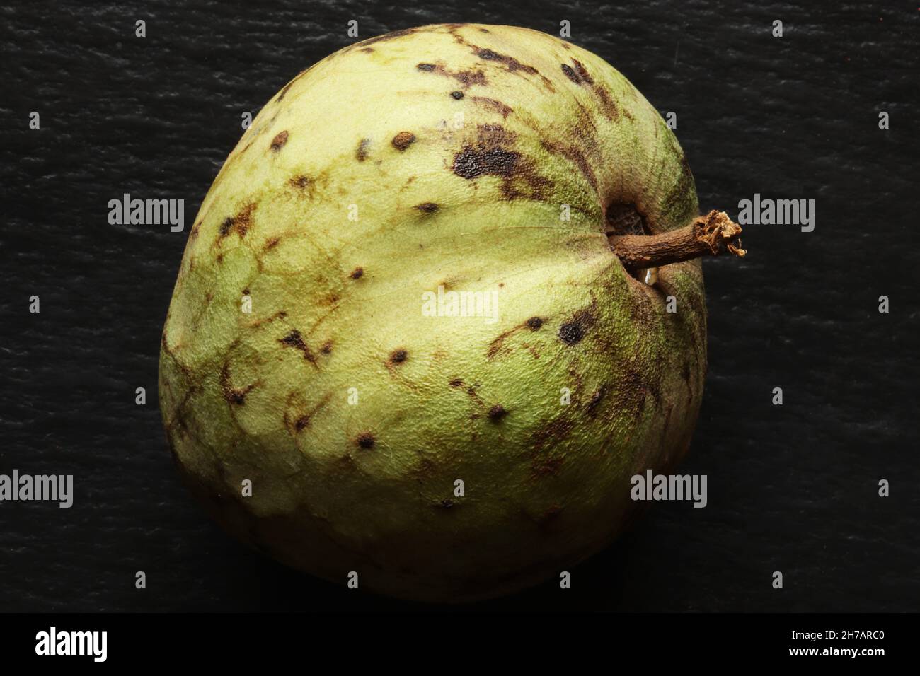 A top view of a whole cherimoya fruit Stock Photo - Alamy