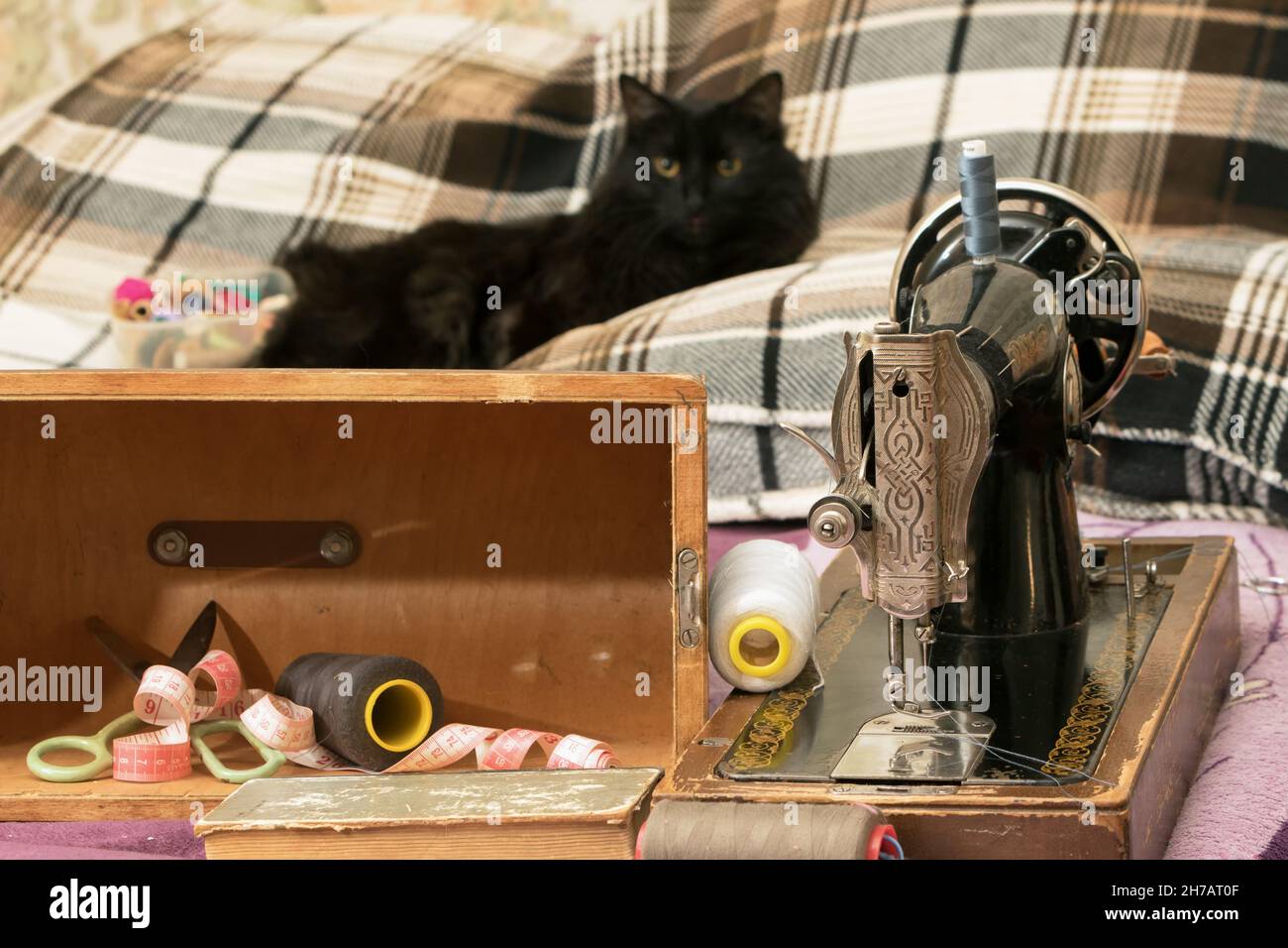 Cat machine hi-res stock photography and images - Alamy