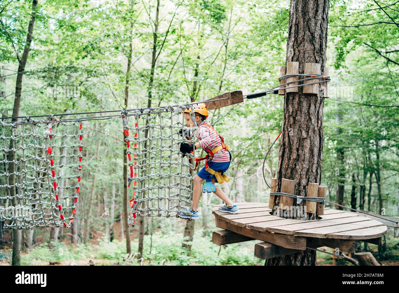 Boy steps from a wooden platform onto a mesh bridge Stock Photo - Alamy