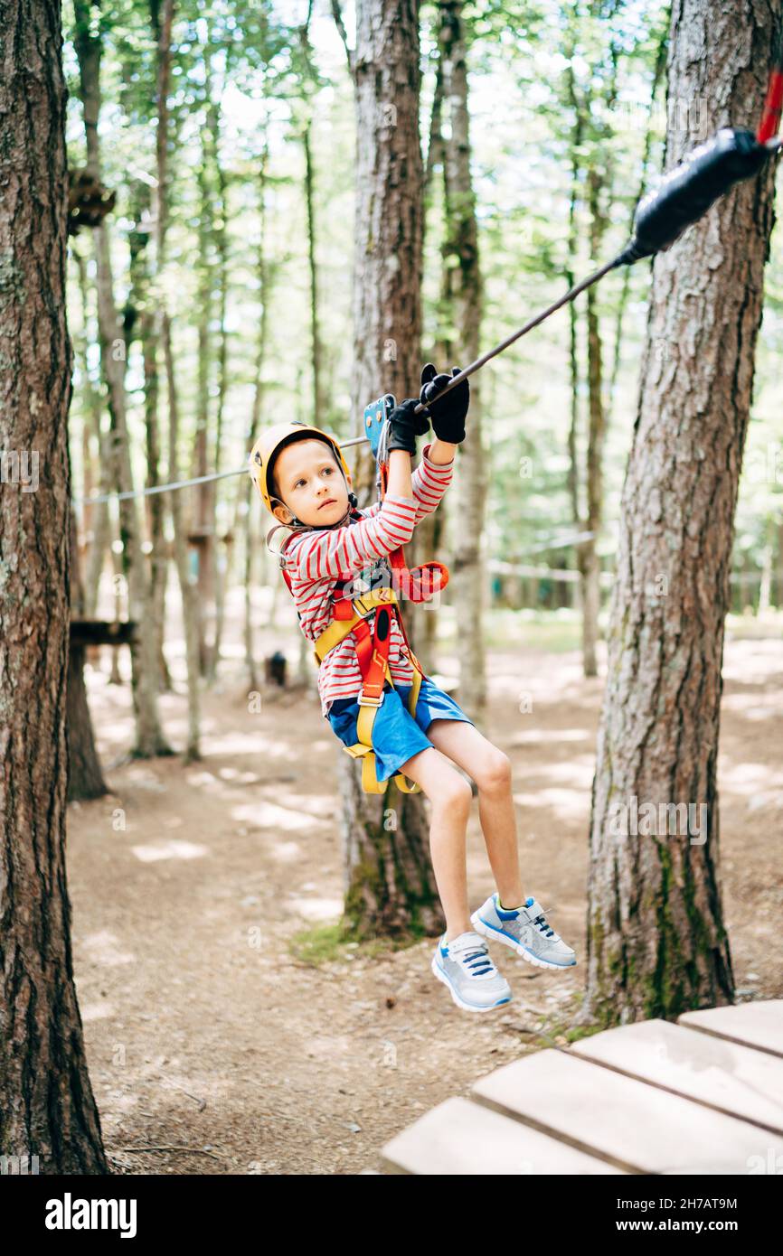 Boy with a safety rope moves along a zip line to a tree Stock Photo - Alamy
