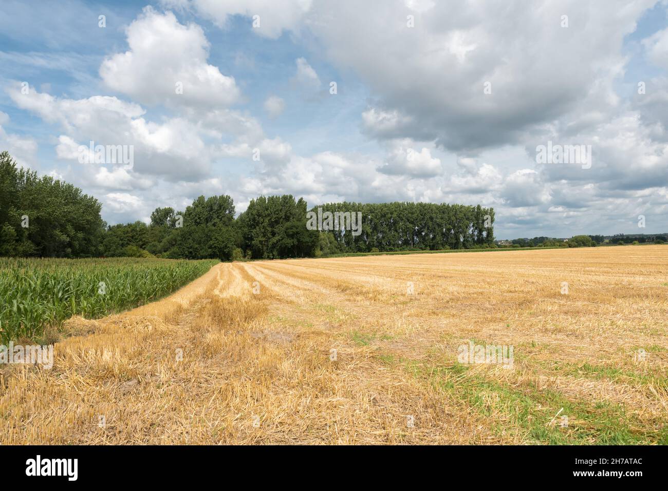 Mowed over hi-res stock photography and images - Alamy
