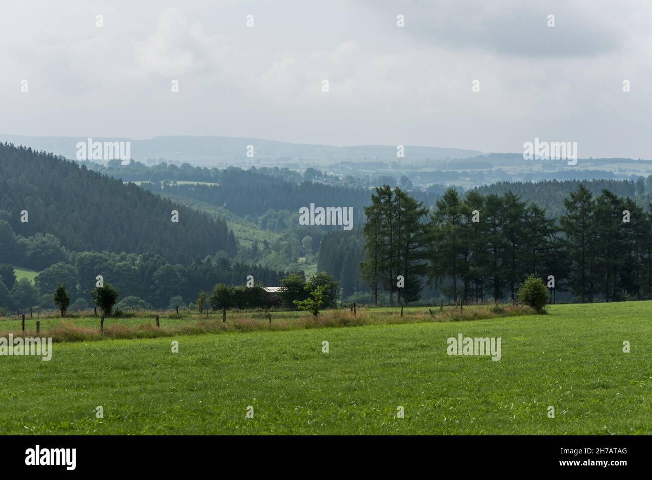 Thirimont hi-res stock photography and images - Alamy