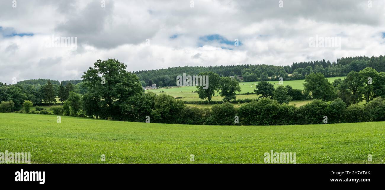 Nature landscape with forests and meadows Stock Photo - Alamy