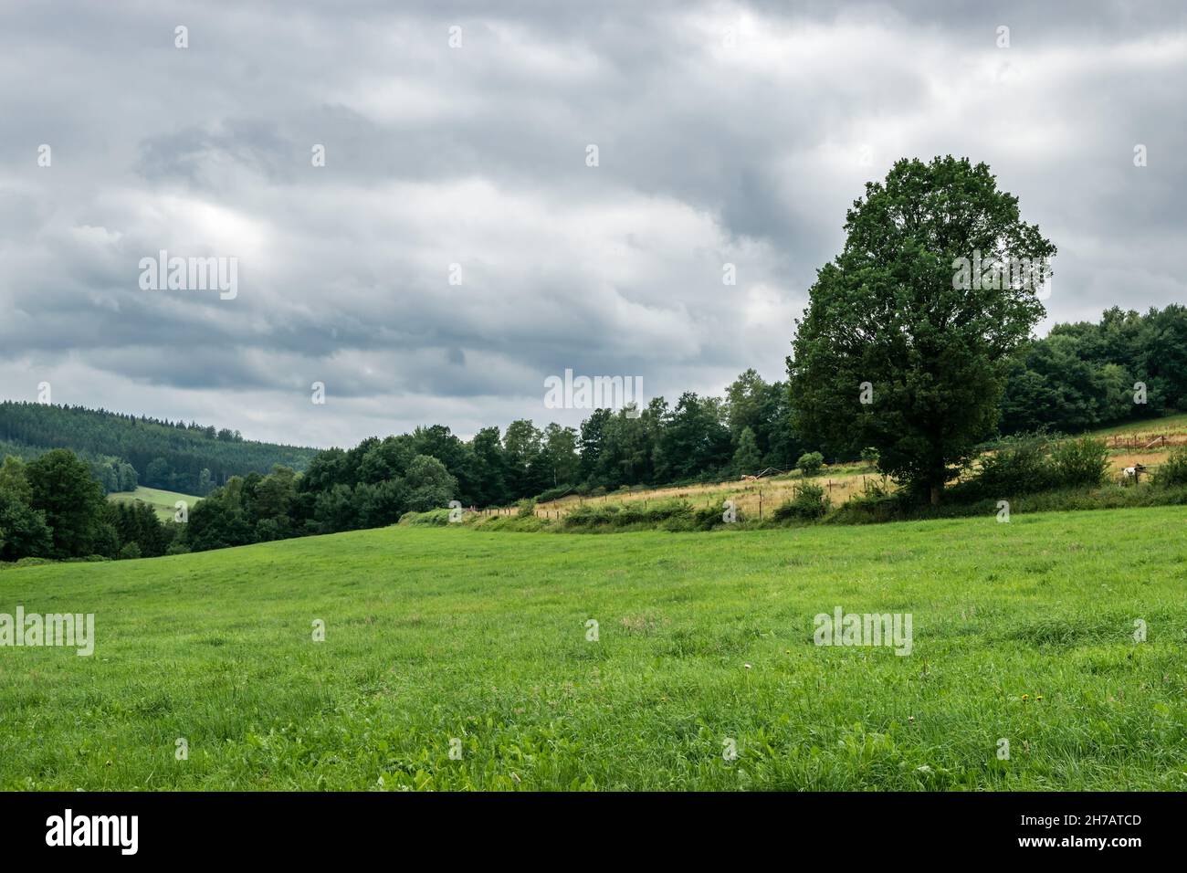 Ardennes belgique hi-res stock photography and images - Alamy