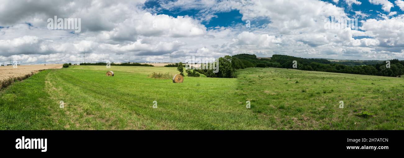 Panorama over field wheat german hi-res stock photography and images ...