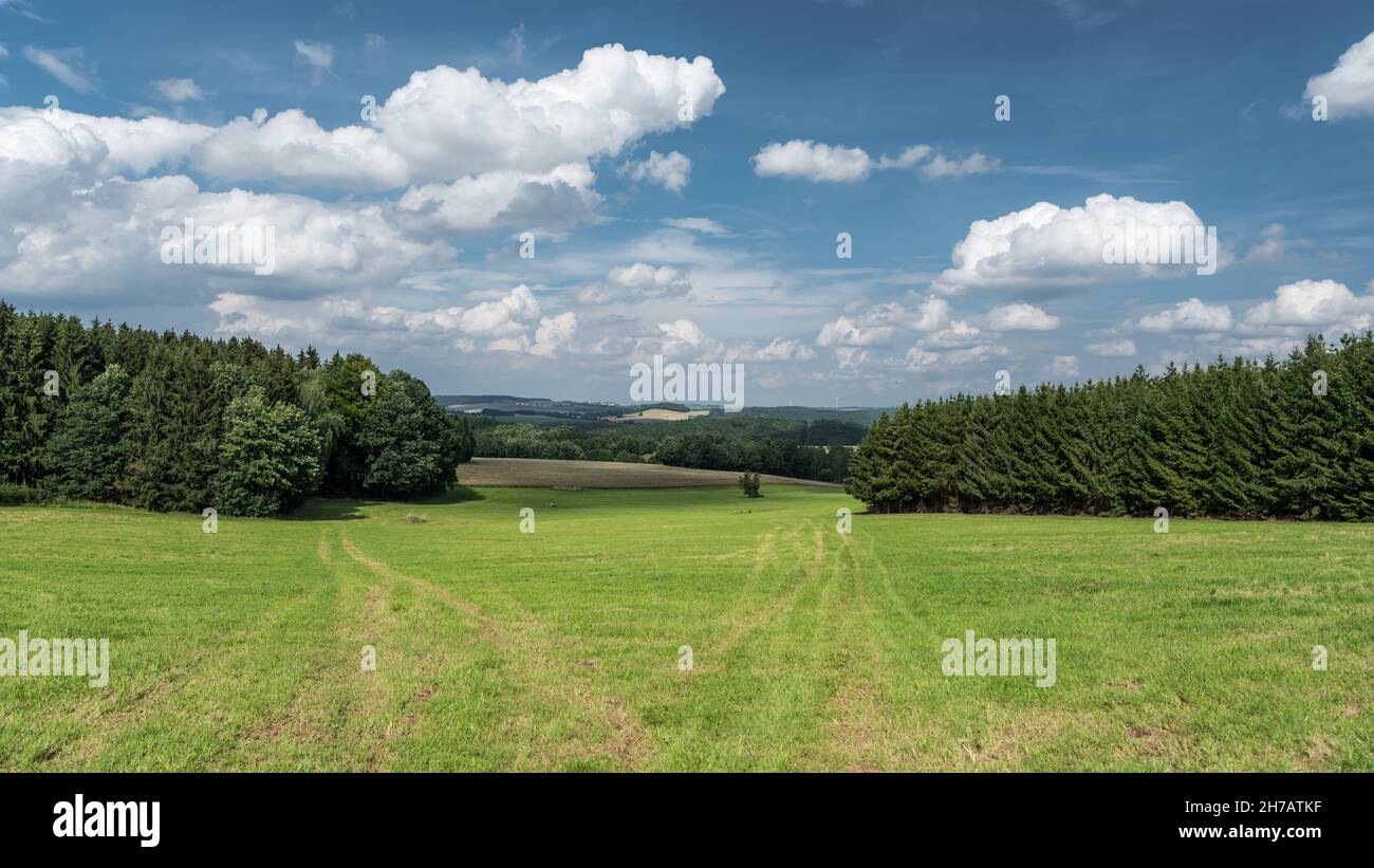 Green rural farmland in Germany Stock Photo - Alamy