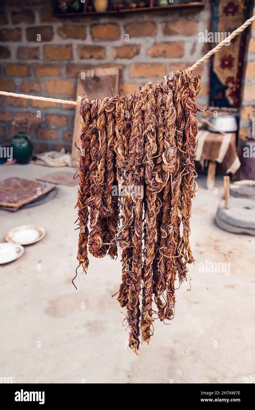 Drying edible herb Aveluk or Horse Sorrel is a traditional ingredient ...