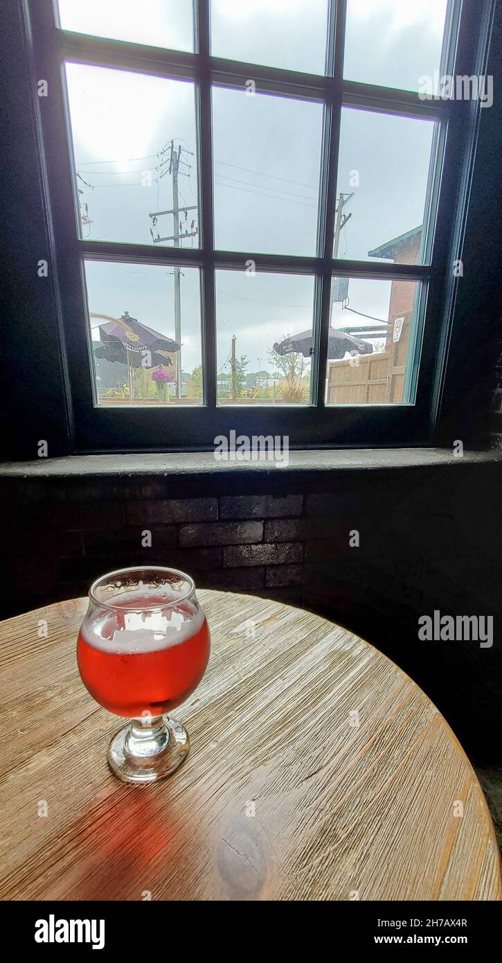 Hibiscus key lime hard cider at City Lights Brewing Co. It really does ...