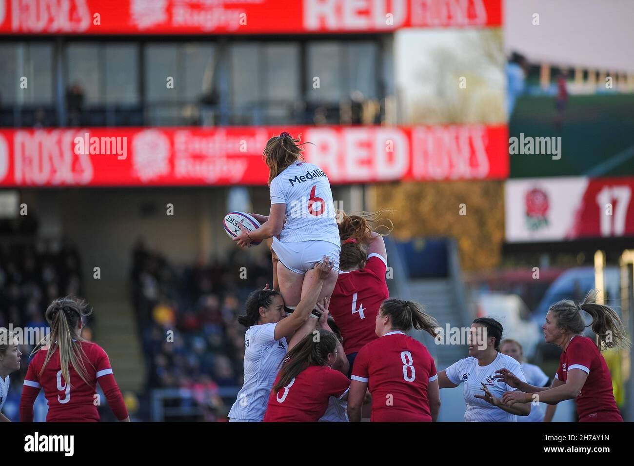 Rachel ehrecke hi-res stock photography and images - Alamy