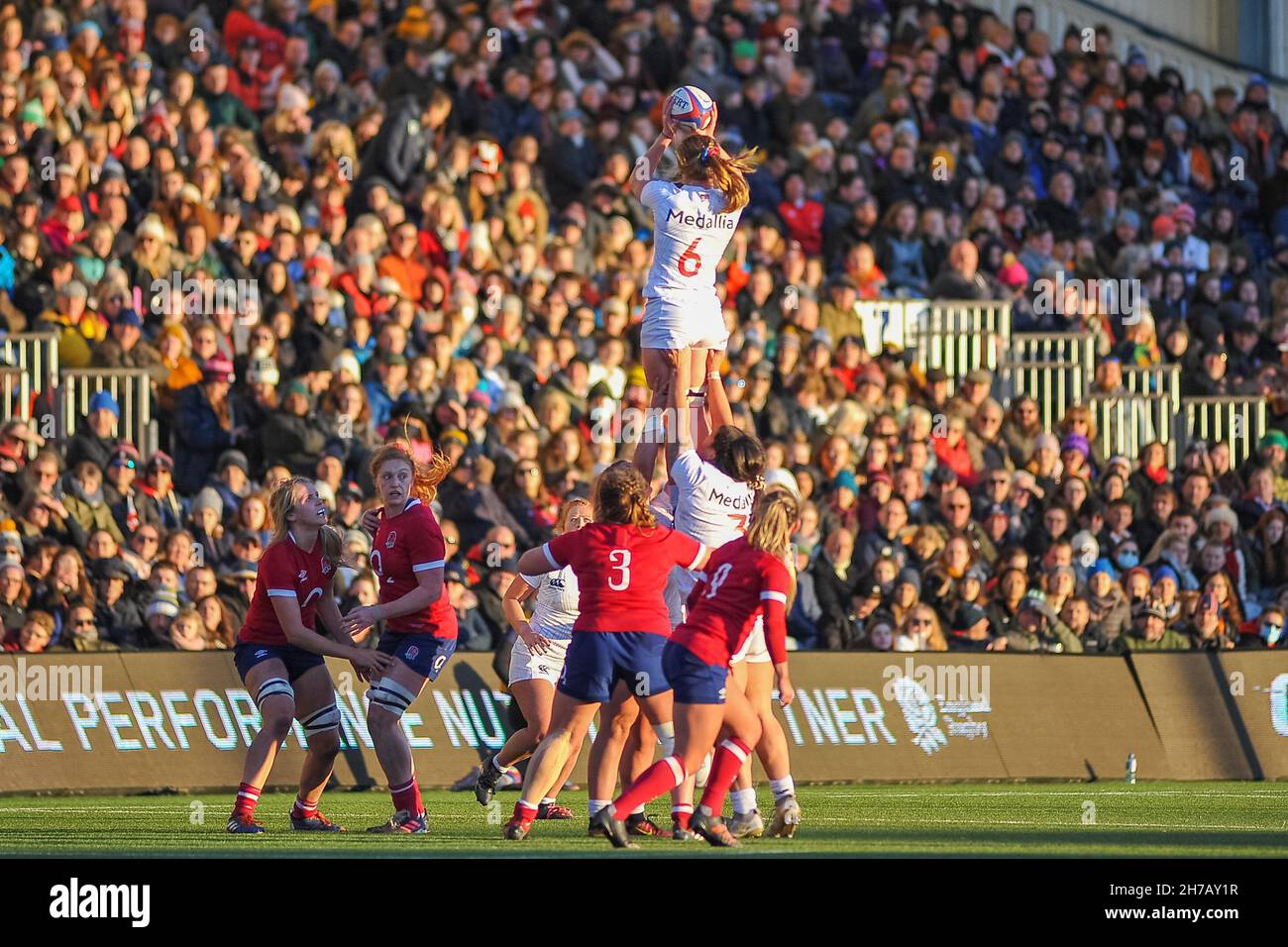 Rachel ehrecke hi-res stock photography and images - Alamy