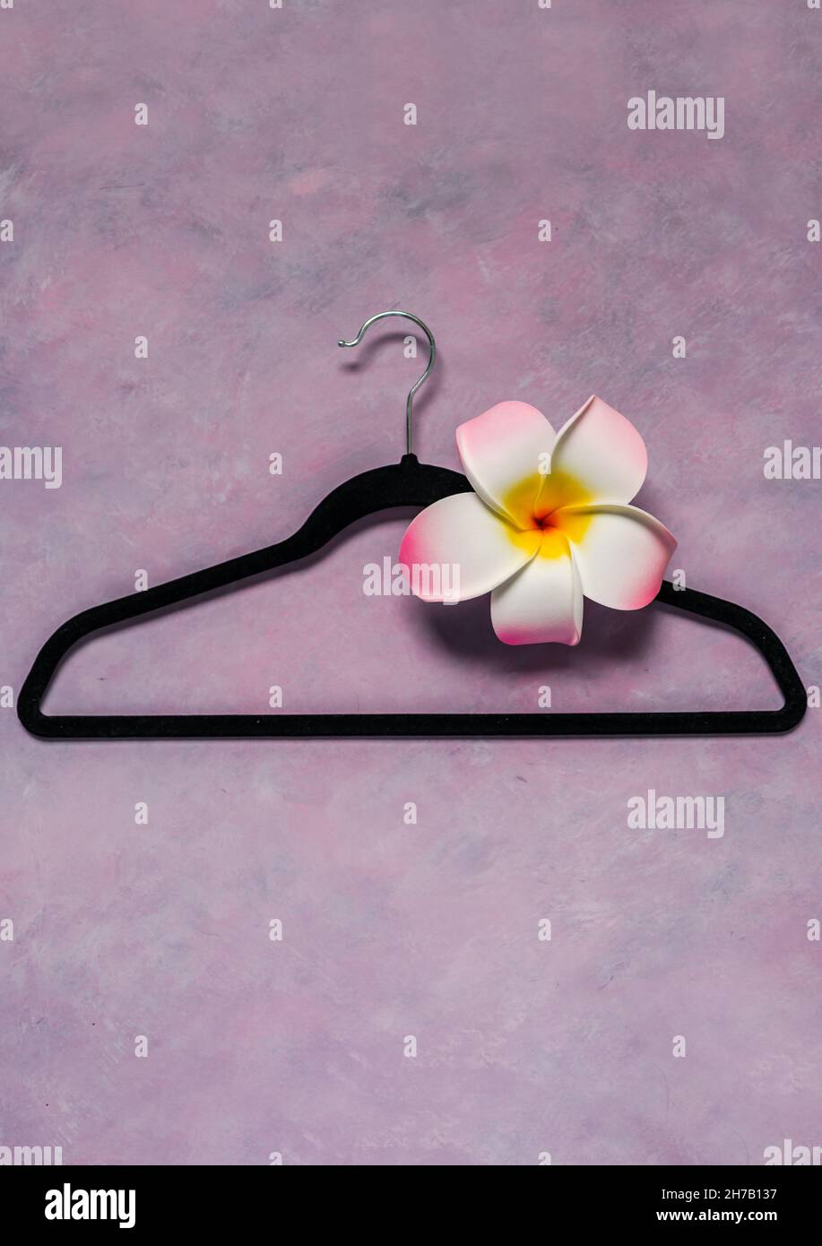 fashion and shopping, velvet clothes hanger on pink background with ...