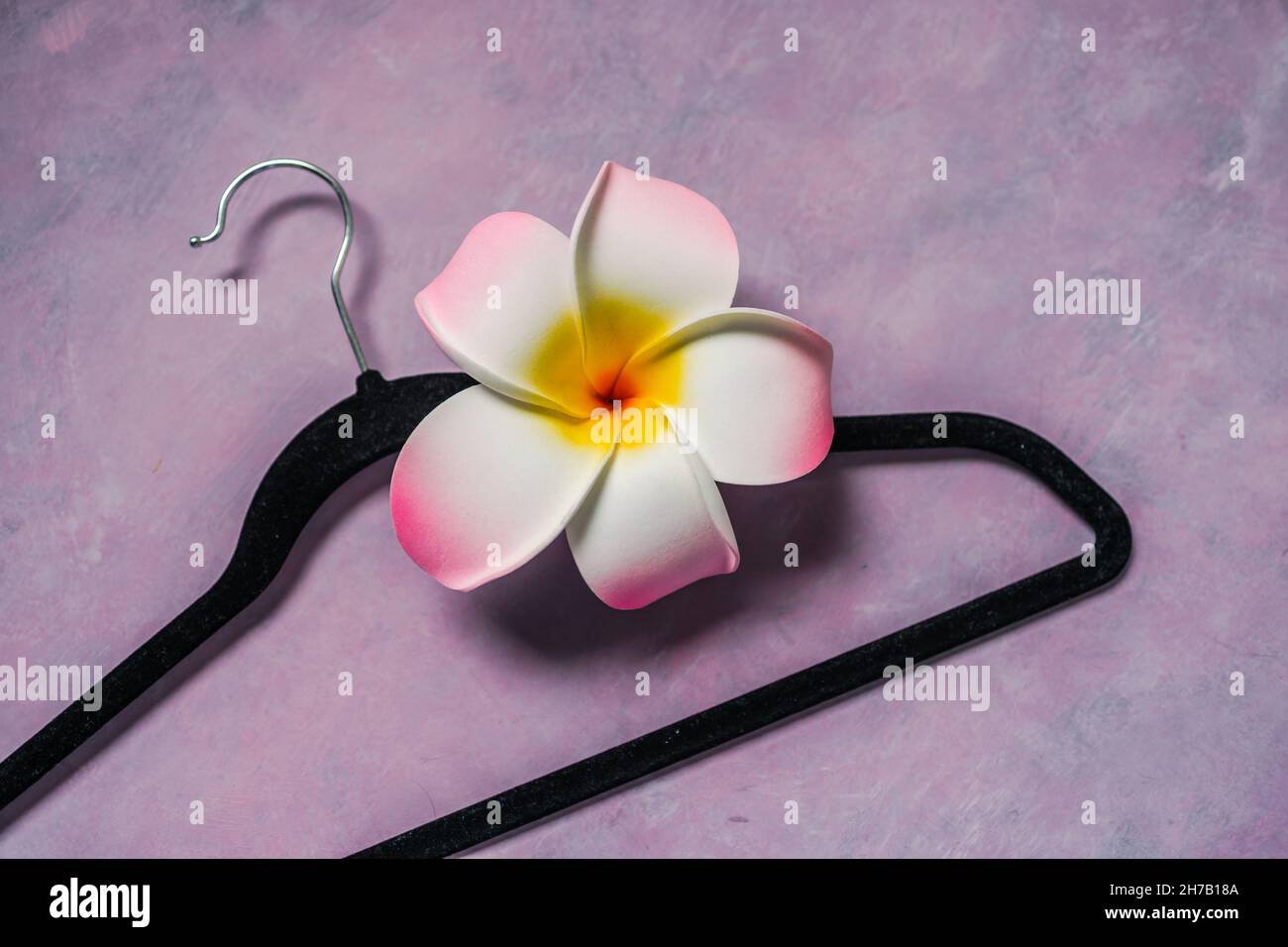 fashion and shopping, velvet clothes hanger on pink background with ...