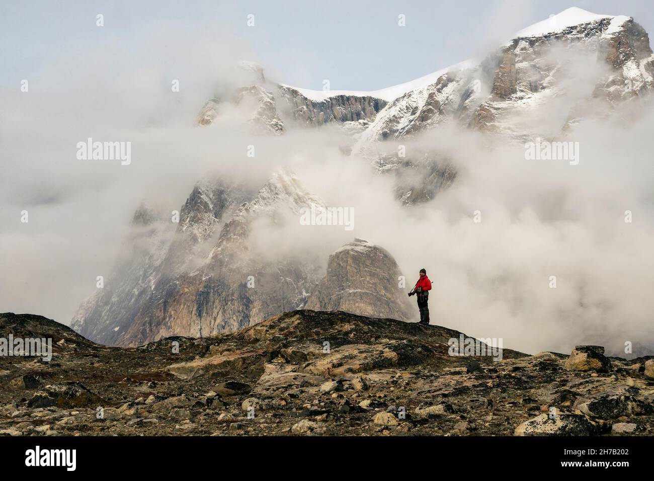 Polar bear watch, NE Milne Land, Scoresby Sund, Greenland Stock Photo ...