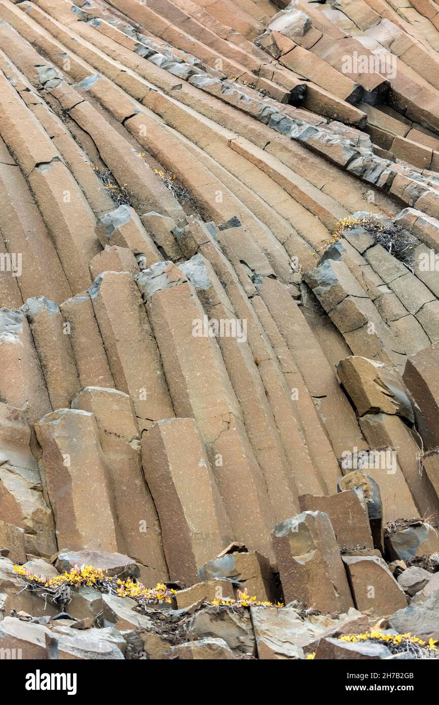 Volcanic hexagonal columnar basalt, Vikingebugt Inlet, Scoresby Sund ...