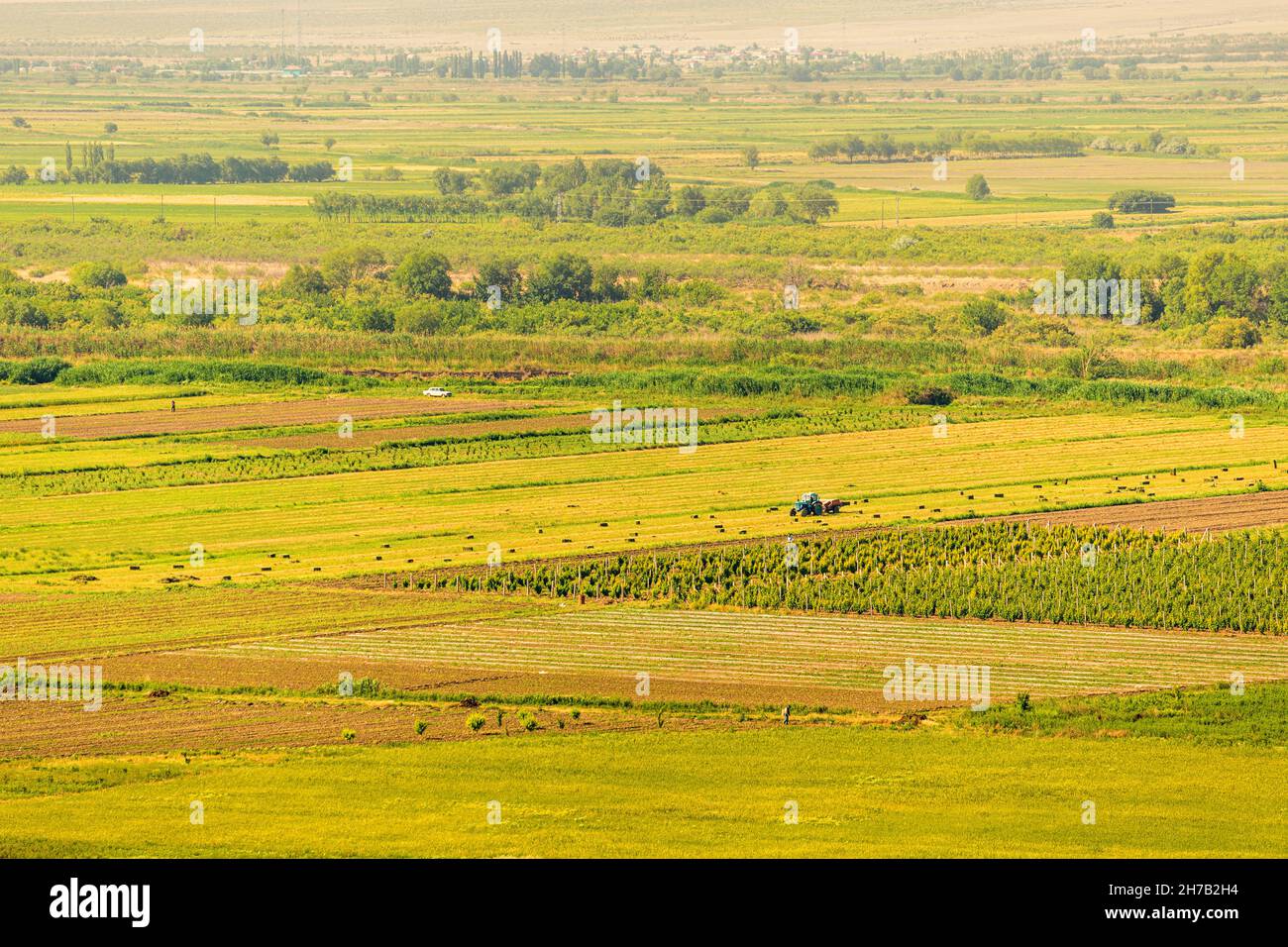 Smooth lines and rows of sown and plowed agricultural fields on the ...