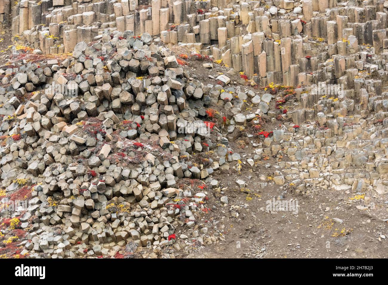 Columnar basalt rock formations with fall colours in a light snow ...