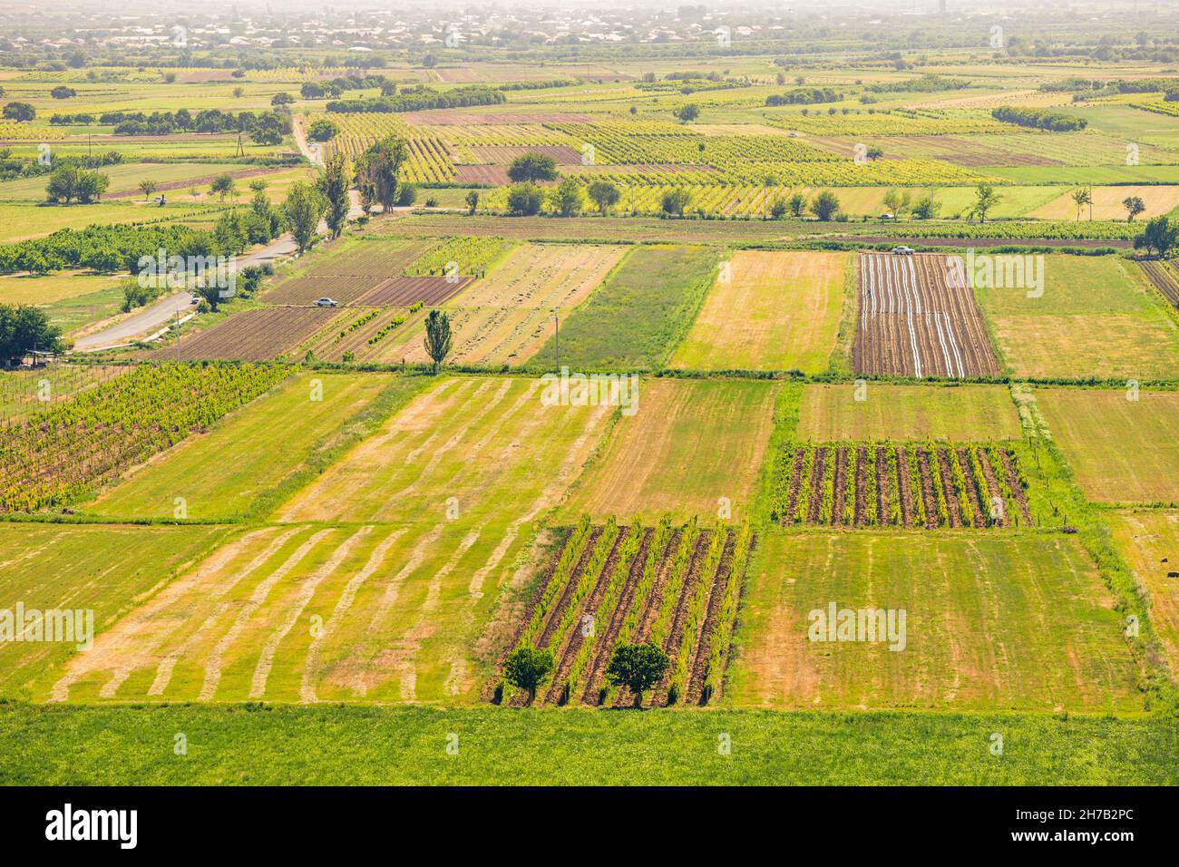 Smooth lines and rows of sown and plowed agricultural fields on the ...