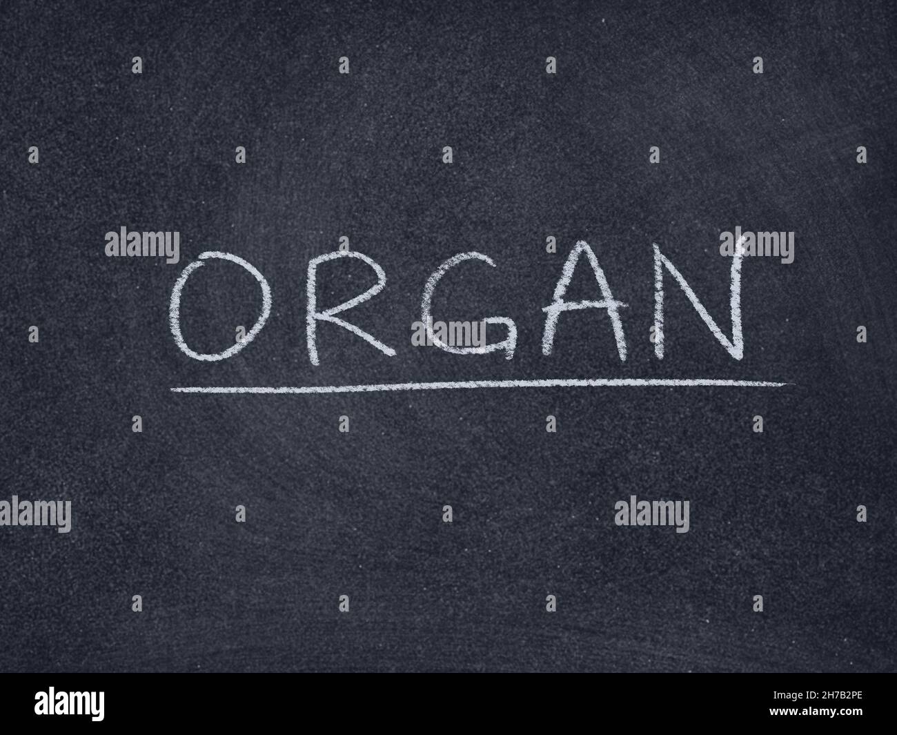 organ concept word on blackboard background Stock Photo - Alamy