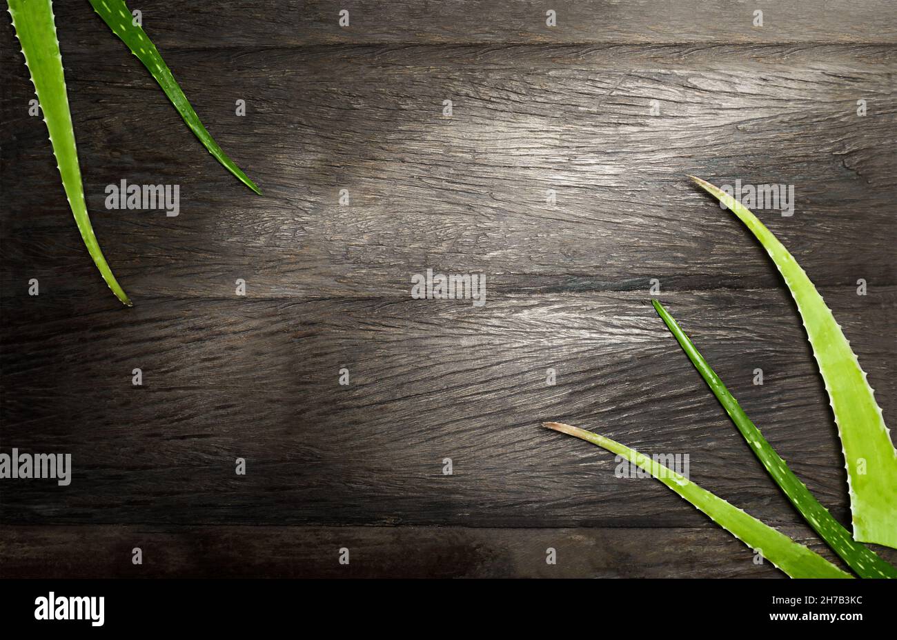 Aloe vera leaves on dark wooden background Stock Photo - Alamy