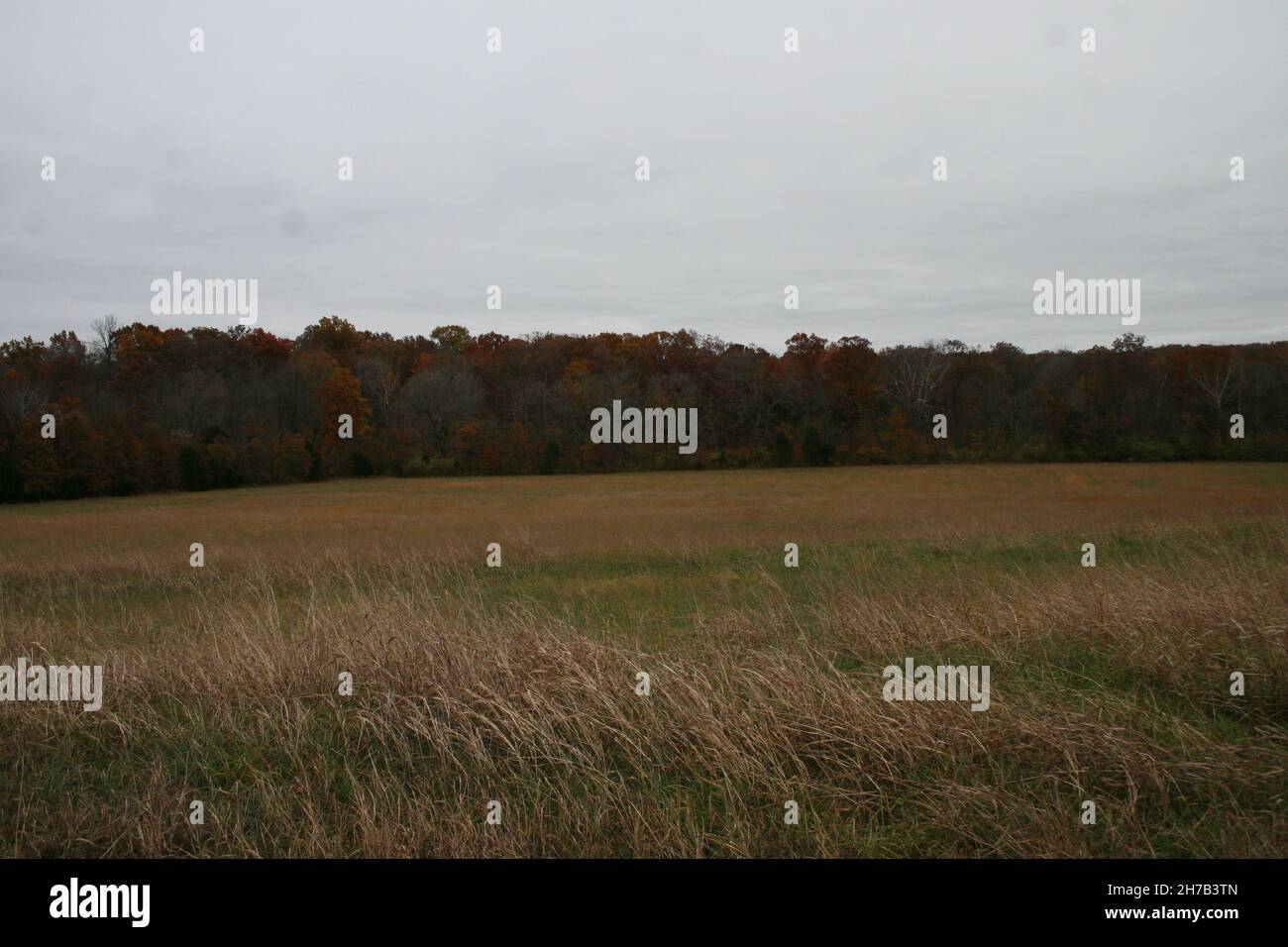 Fall display of color in Rural Missouri, USA Stock Photo - Alamy