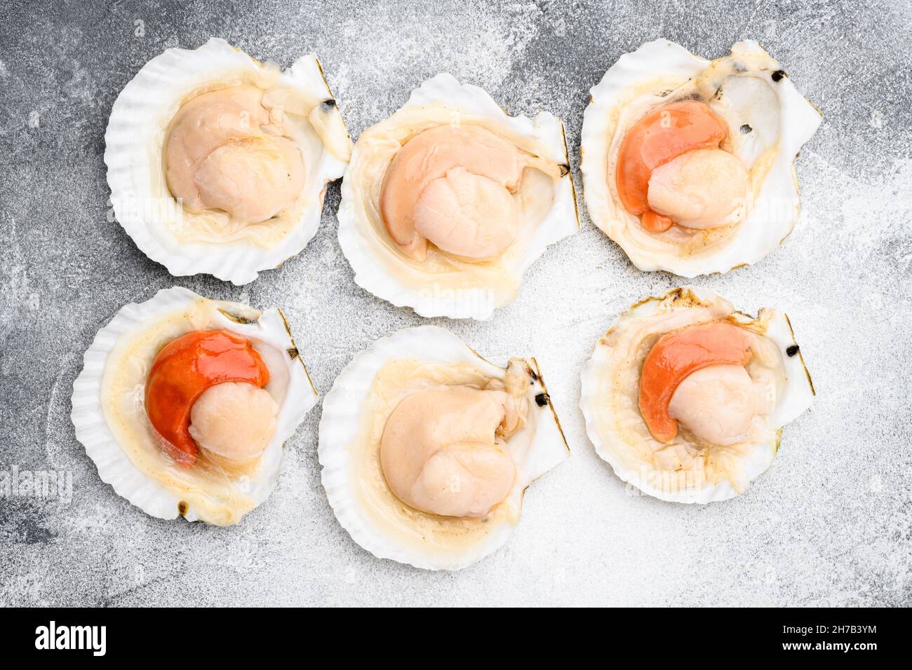 Fresh scallops for a baked recipe set, on gray stone table background ...