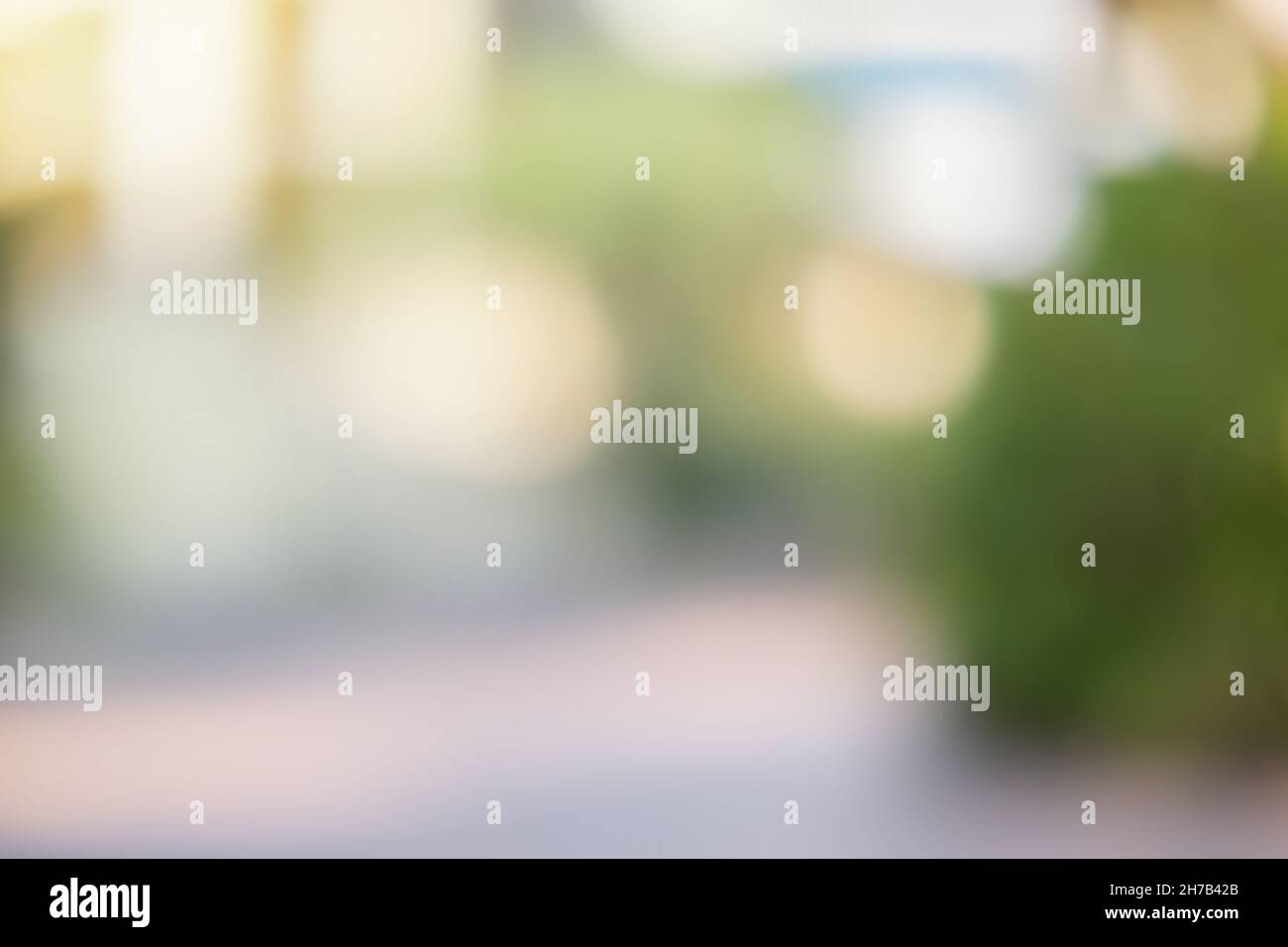 Blurred forest background hi-res stock photography and images - Alamy
