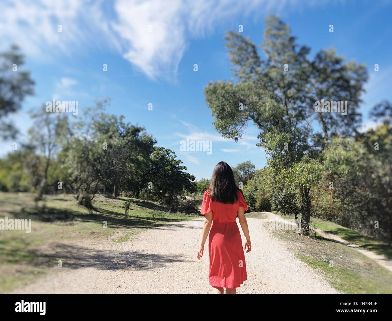 Scenic shot of a woman wearing a pink dress from her back walking on ...