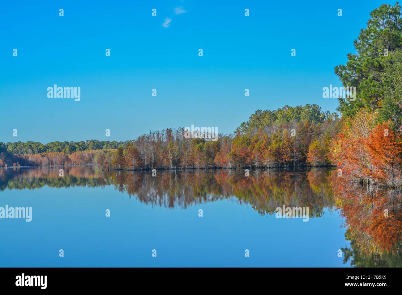 Little ocmulgee state park hi-res stock photography and images - Alamy