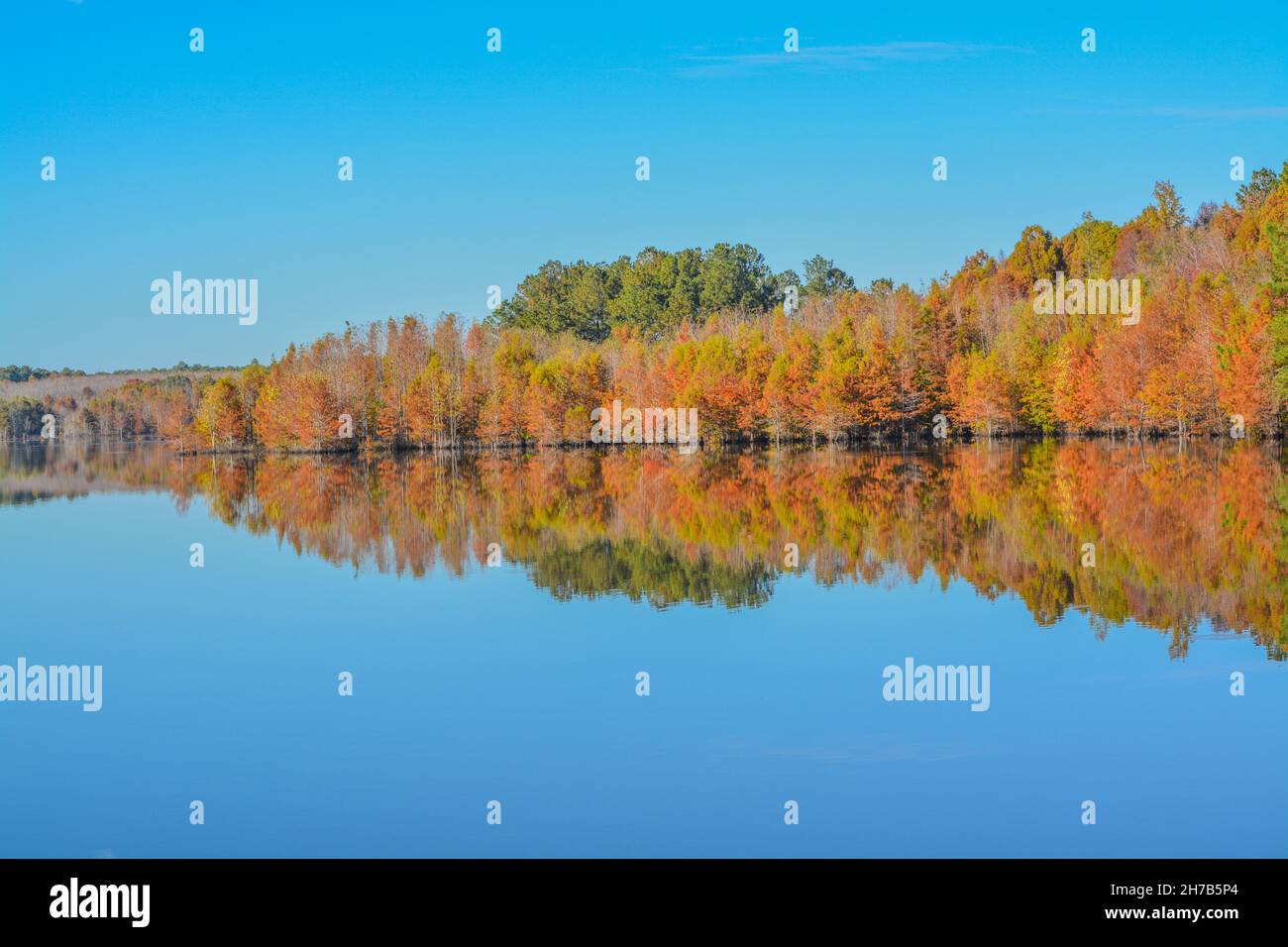 Little ocmulgee state park hi-res stock photography and images - Alamy