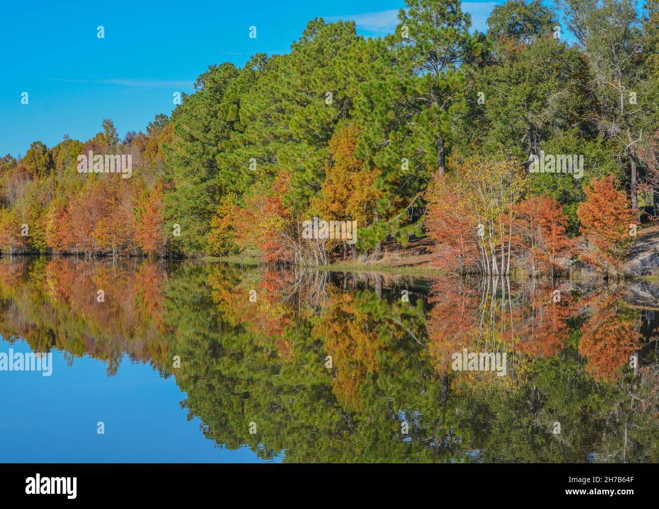 Little ocmulgee river hi-res stock photography and images - Alamy