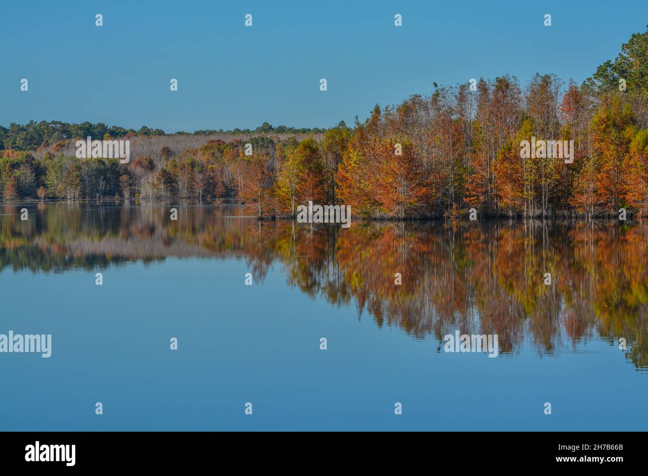 Little ocmulgee river hi-res stock photography and images - Alamy