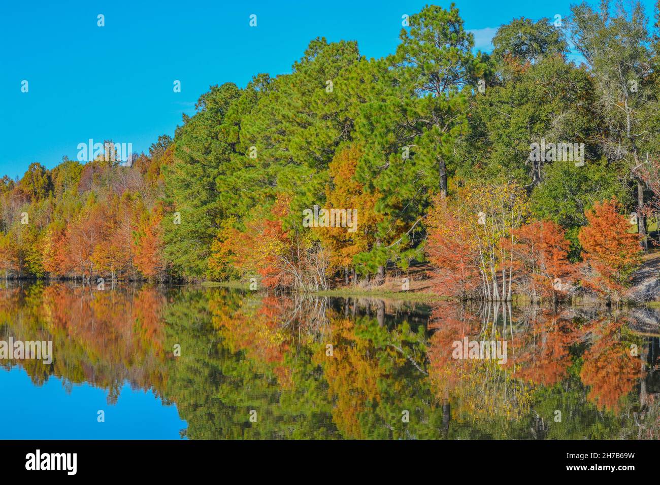 Mirror image of the beautiful colorful leaves on the trees, along the ...