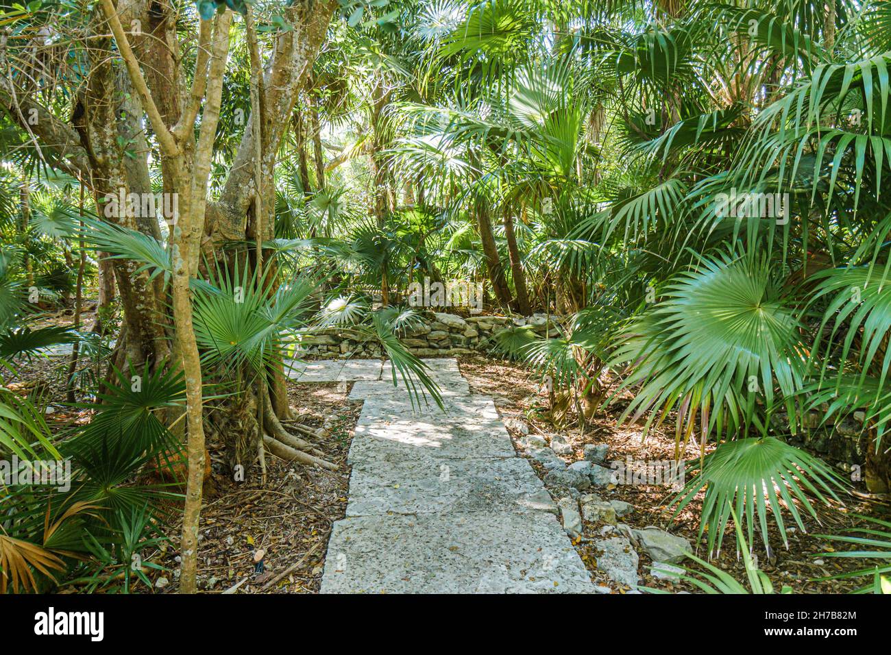 Key West Florida,Keys Tropical Forest & Botanical Garden,nature trail ...