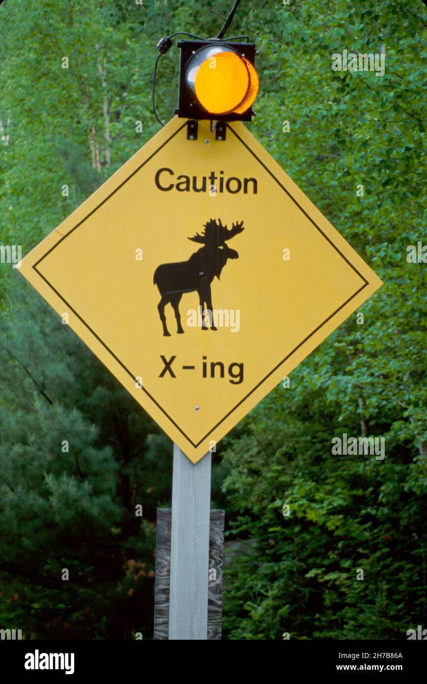 Carrabassett sugarloaf mountain moose crossing road sign hi-res stock ...