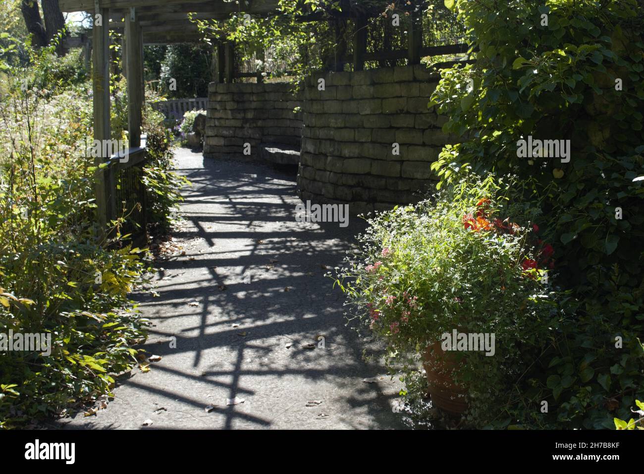 Closeup of a garden footpath with sunrays Stock Photo - Alamy