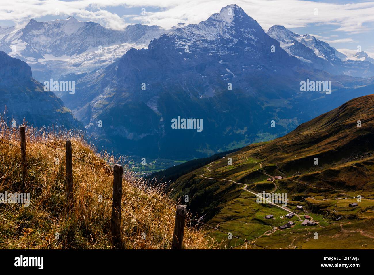 Eiger in the Berner Oberland mountain range of the Swiss Alps, and autumn grasses with a ...