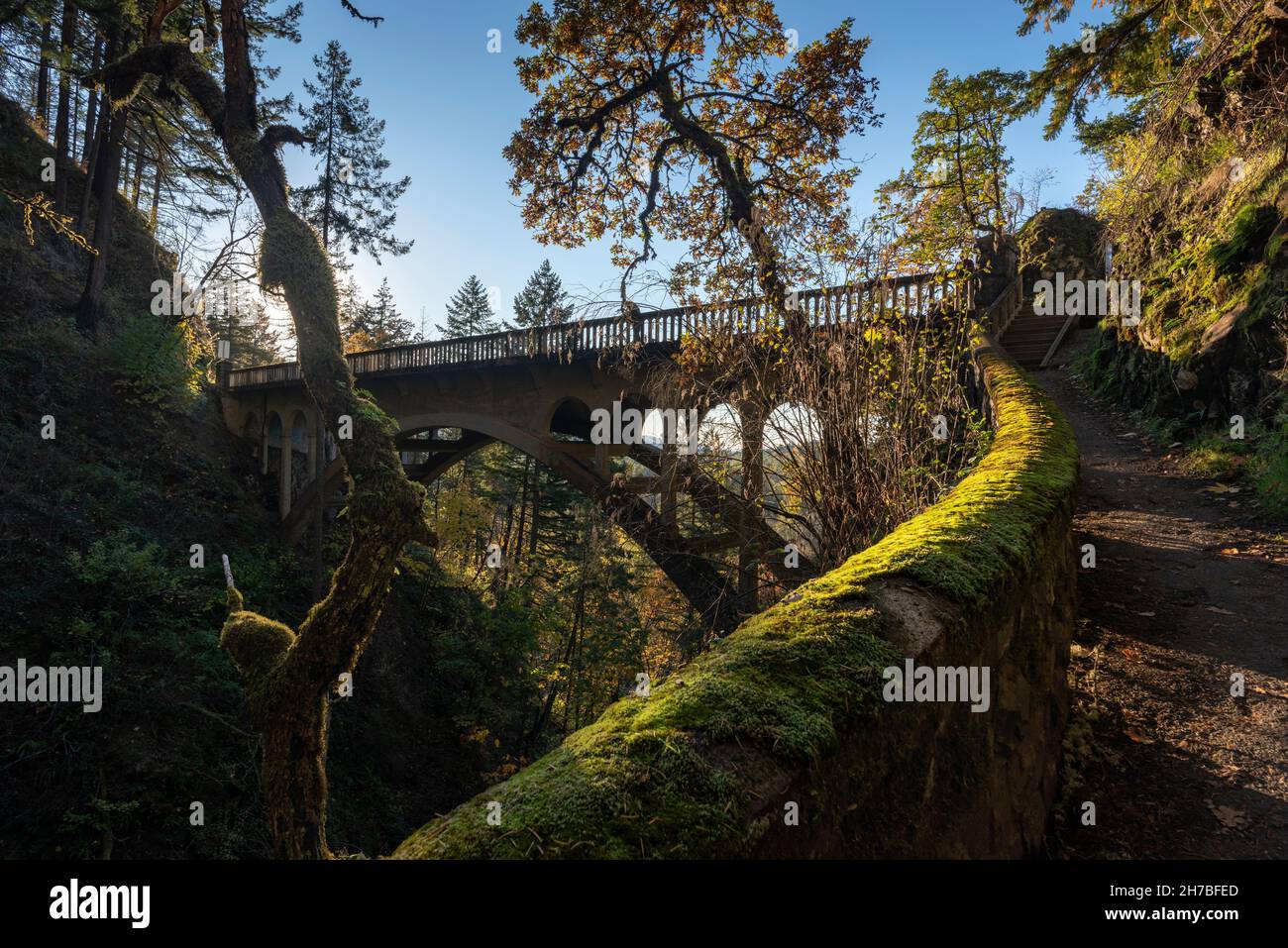 Moss covered bridge hi-res stock photography and images - Alamy